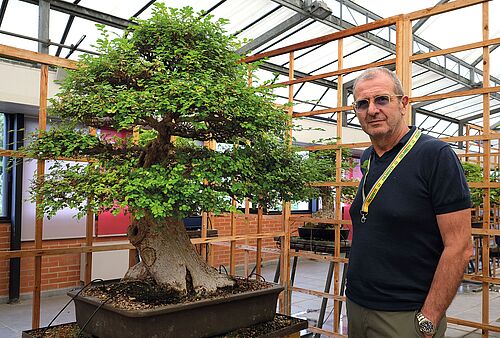 Giorgio Tesi Group: Franchi Bonsai entra nella grande famiglia Giorgio ...